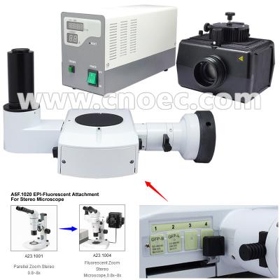 중국 입체 음향 광학적인 현미경 Parellel 급상승 입체 음향 0.8 - 8x, 0.8 - 6.4x A23.1001 판매용