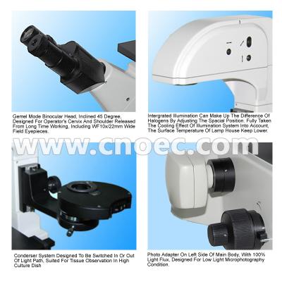 China Infinity Objective Inverted Optical Microscope Phase Contrast Microscope  Bright Field A14.0203 for sale