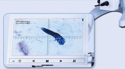China Ocular opto inalámbrico de Digitaces Edu Handheld Usb Microscope Wf 10x en venta