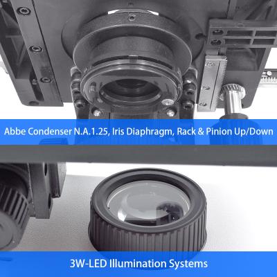 Cina Microscopio biologico del laboratorio di OPTO-EDU A12.2601-A, binoculare, acromatico in vendita