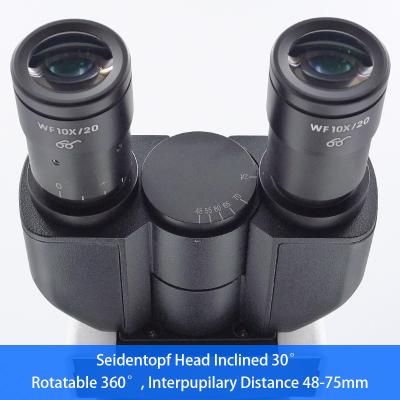 Cina Microscopio biologico del laboratorio di OPTO-EDU A12.2601-A, binoculare, acromatico in vendita