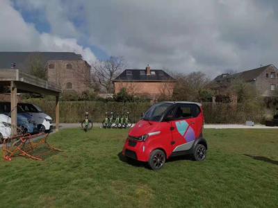 China wholesale cheaper two seats middle steering EEC four wheel electric car for adults for sale