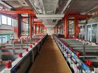 Quality CUSTOMIZED BARREL PLATING LINE for sale