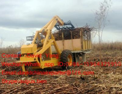 China BELL three wheels sugarcane loader with Cummins with CE  ELL 220A 120A tri wheels three wheels for sale