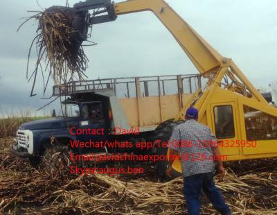 China BELL three wheels sugarcane loader with Cummins with CE  ELL 220 120 tri wheels three wheels for sale