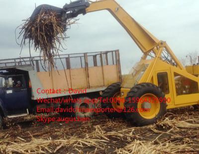 China CHINA BELL three wheel sugarcane loader with Cummins with CE and 500KG ,BELL 220 120 tri wheels three wheels for sale