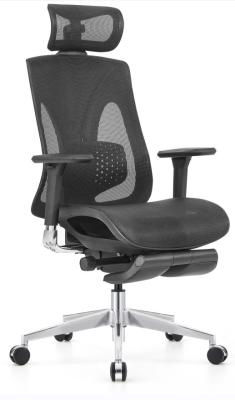 China Experience Unmatched Support Ergonomic Mesh Office Chair for Optimal Posture en venta