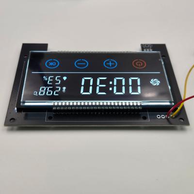 China Shenzhen Segmented LCD Displays | Custom LCD Segment Display Manufacturer for Industrial and Consumer Electronics for sale