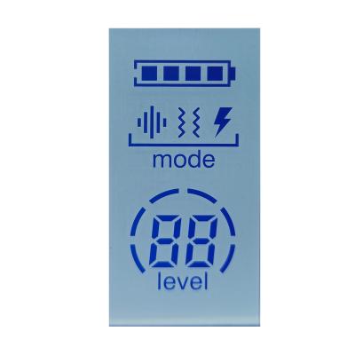 China Custom Mono LCD Display and FSTN Monochrome LCD Display Manufacturer for sale