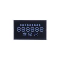 China Custom VA LCD Display for Temperature Controller with High Contrast Segment LCD Solution for sale