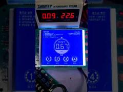3.3V Digit FSTN Screen Transmissive Lcd Display Module für Reifendruckmessgerät