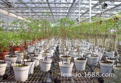 Cina Agriculture Irrigation Durable Pressure Compensation Garden Sprinklers in Normal Style in vendita