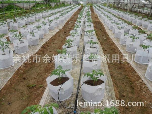Quality Engineering Plastic Drip Fittings for Customizable Portable Home Plant for sale