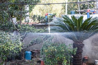 Cina Advantageous Water Irrigation Vortex Rotating Sprinkler for Endurable Lawn Agriculture in vendita