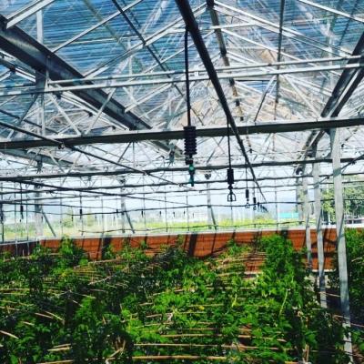 Cina Sistema di irrigazione agricola per giardini con ugello rotante in vendita