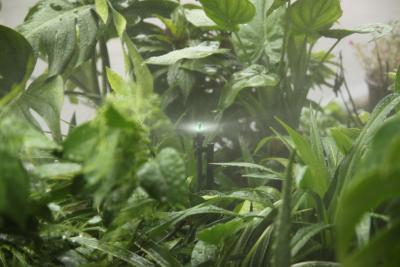 Cina Soluzione di irriguazione agricola a sfera completa a rifrazione in vendita