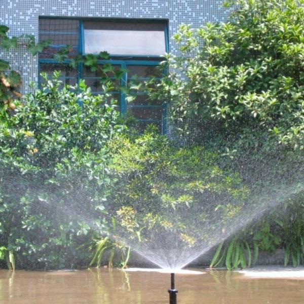 Quality Support Occasion Selection Normal Style Hidden Sprinkler for Garden and for sale