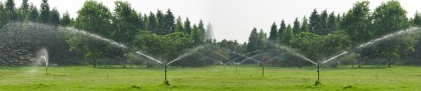 Quality 1/2'' Rotating Rocker Arm Impact Sprinkler Perfect for County Agriculture for sale