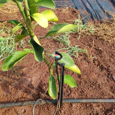 China 360 Degrees Agricultural Water Sprinkler Normal Style for Micro Sprinkler Irrigation à venda