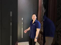 Handvat Zwart Houten Aluminium Tuinpoort Geruisloos Aluminium Pivot Ingang Doors