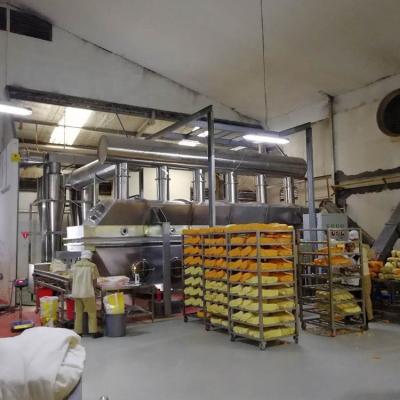 China WKS Vibro Fluid Bed Dryer Zinc Sulfate Heptahydrate Polypropylene Pellet Dryer Machine for sale