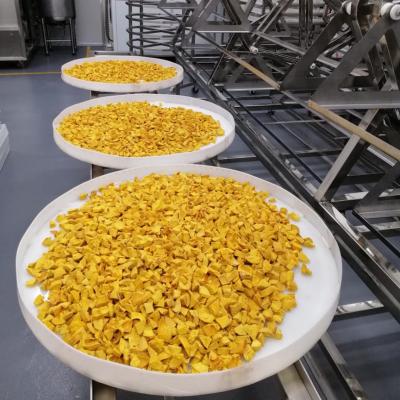 Cina Forno industriale in lotti di microonda delle medicine più asciutte di vuoto di microonda di acciaio inossidabile 3KW in vendita