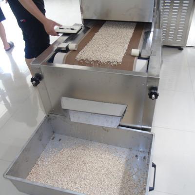 Cina asciugatrice continua di microonda dell'essiccatore della cinghia dell'alga dei frutti di mare del gamberetto 30kw in vendita