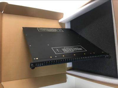 중국 신설 공장 봉인한 트리콘엑스 PLC 모듈 브랜드 뉴 4329G 판매용