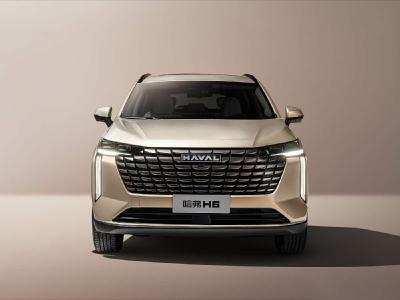 China Hot Selling Second-hand 2021 Third-Generation Haval H6 Four-wheel Drive Su-preme+ for sale