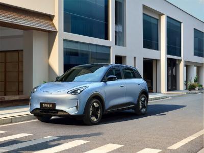 China 2025 for Geome Star Wish 310km Series Electric Vehicle-4-door 5-seater SUV with 30-50kWh Battery-Daily Use Eco Car for sale