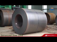 Linea di produzione di pellet per animali