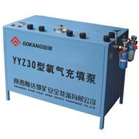 China YYZ30 Oxygen-filling Pump for sale