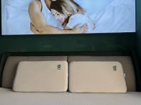 Quality Healthier Sleep Home Classics Memory Foam Hypoallergenic And Antimicrobial for sale