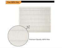 China Conair Portable Small Air Purifier 2-Pack Replacement Filters for sale