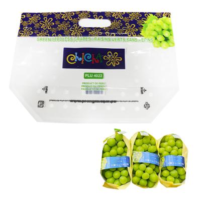 China Customization Luxury Transparent Plastic Packaging Bag For Fruit for sale