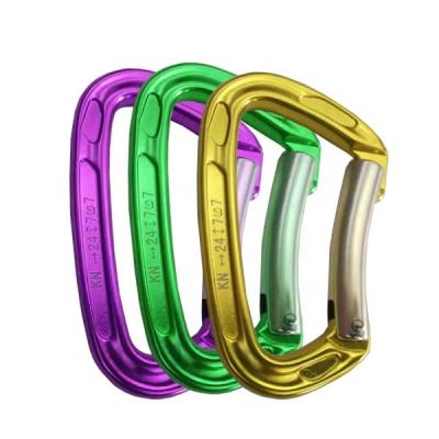 China Aluminum Carabiner D Shaped Climbing Carabiner Bulk Production for sale