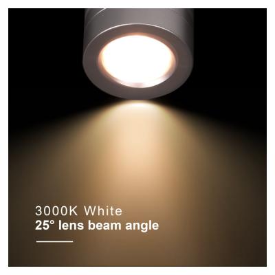 Cina LED Spike 1w 2w 3w Outdoor Garden Spotlight Yard Landscape Light per il prato degli alberi in vendita
