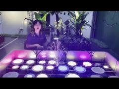 Color Underwater LED piscina di resina IP68 35W AC12V telecomando PAR56 luce bianca