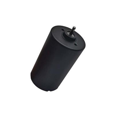 Cina Motore senza spazzole Inrunner da 28 mm ad alta potenza 12V facile da usare Alta velocità in vendita