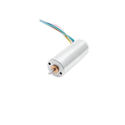 China Motor sin escopeta de 12 mm Micromotor con sensor de 6.5W 25310 rpm personalizable para bombas médicas en venta