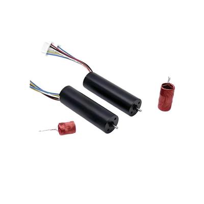 Cina 16mm Sensorless Brushless Motor Sensorized Slotless Motor 24V 10W 20W 18900rpm Personalizzabile in vendita