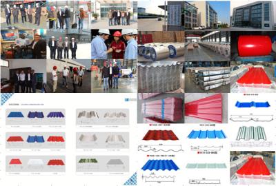 China prepainted steel coil for sale