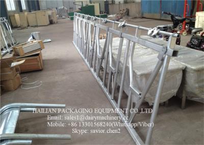 China Cattle crush Head Lock Farm Equipment Hot-galvanized Steel Pipe for sale