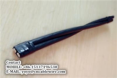 China 2 Core ABC Cable for sale