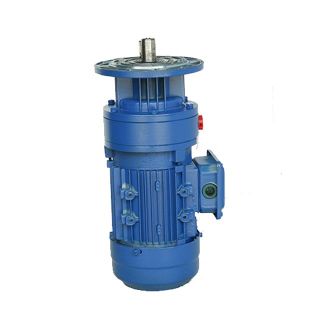 Industrial installation of vertical gear reducer in machinery