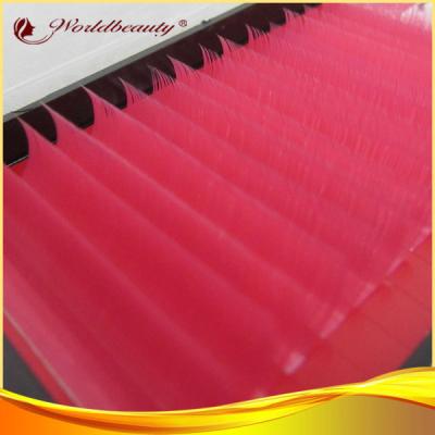 China C Curl Pink Mink Eyelashes Extensions With PBT Korea Fiber for sale