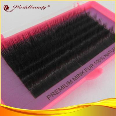 China Siberian C Curl Mink Fur Eyelashes Extensions Natural Looking for sale