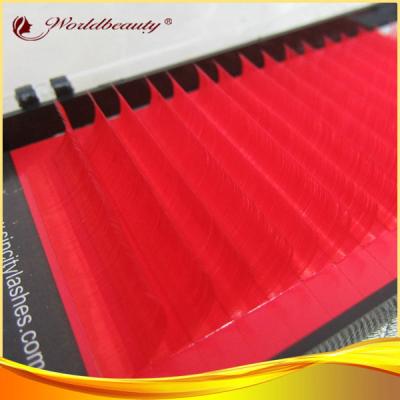 China C Curl Red Real Mink Eyelashes Extensions 10mm PBT korea Fiber for sale