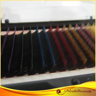 China Natural Looking 10mm Mink Eyelashes Extensions Individual D Curl for sale