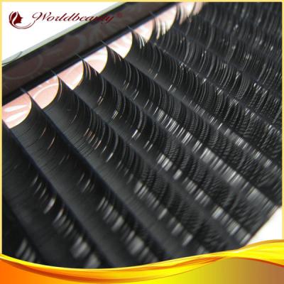 China Individual D curl Eyelash Extensions Natural Looking For Women for sale